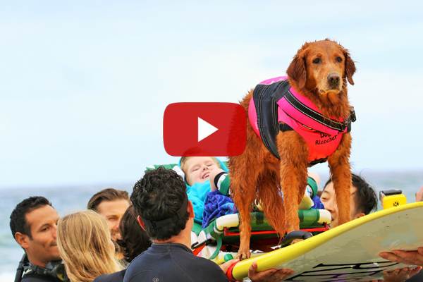SURF DOG RICOCHET CATCHES WAVES WITH KIDS WHO CAN’T WALK, EAT OR ...